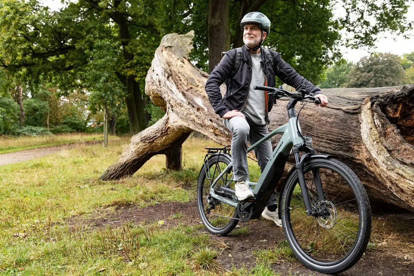 Stevens E-Triton 7.8.1 Plus Forma – Touring-E-Bike für Alltag und lange ...